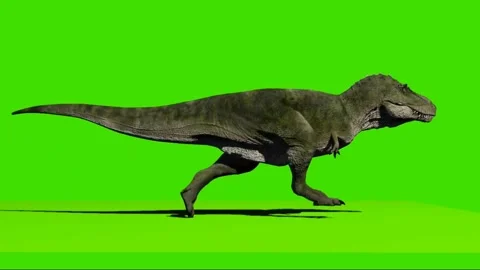 Tyrannosaurus rex Running on Green Scree... | Stock Video | Pond5