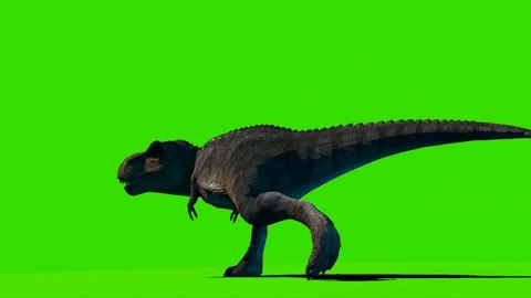 Tyrannosaurus Rex Dinosaur Stock Footage ~ Royalty Free Stock Videos ...