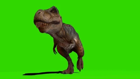 T Rex Green Screen Stock Footage ~ Royalty Free Stock Videos | Pond5
