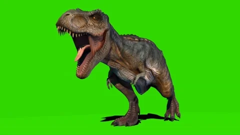 T Rex Green Screen Stock Footage ~ Royalty Free Stock Videos | Pond5