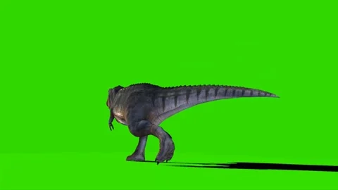 T Rex Green Screen Stock Footage ~ Royalty Free Stock Videos | Pond5