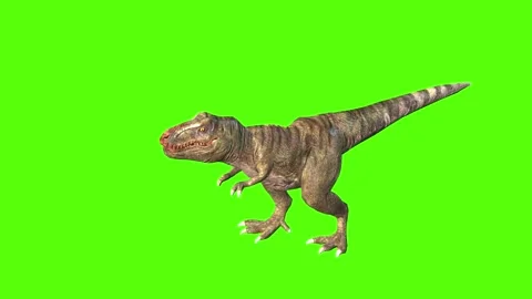 Tyrannosaurus T-Rex Attack Animation Gre... | Stock Video | Pond5