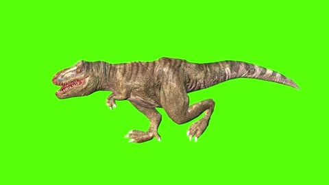 Tyrannosaurus T-Rex Walking Animation Gr... | Stock Video | Pond5