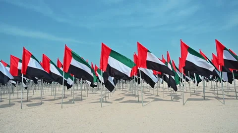 UAE flags are on display at the Flag Gar... | Stock Video | Pond5
