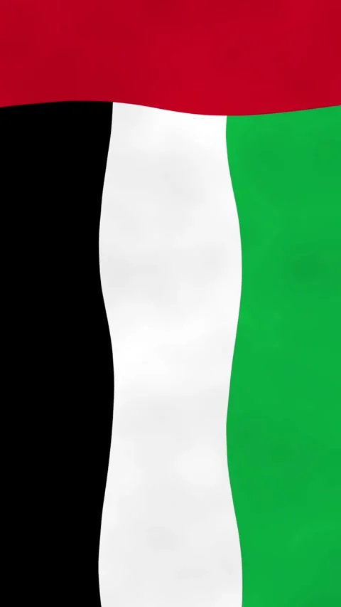 UAE waving flag 4k animation in vertical... | Stock Video | Pond5