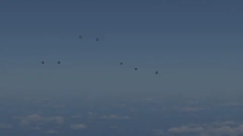 Observe The Flight Stock Video Footage | Royalty Free Observe The ...