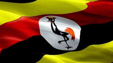 Flag Of Swahili Stock Videos – Royalty-Free HD & 4K Videos | Pond5