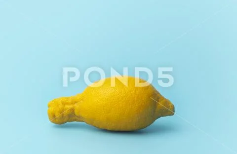 Ugly food and ugly vegetables concept. Ugly lemon on a blue minimal backgroun Stock Photo #163228595
