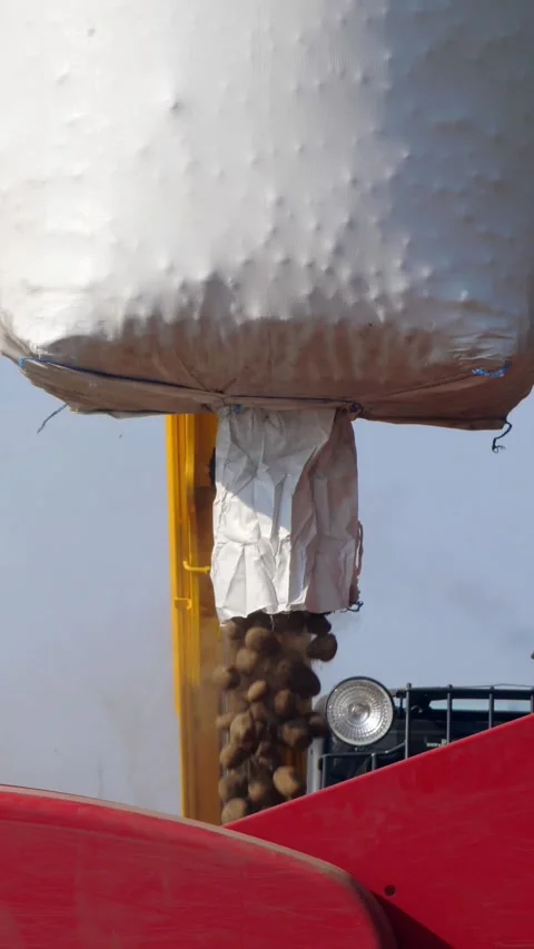 Big Back Potato Stock Videos – Royalty-Free HD & 4K Videos | Pond5