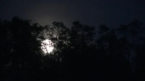 Wallpaper Ultra Hd Stock Videos – Royalty-Free HD & 4K Videos