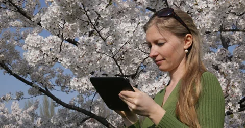 Flower Click Stock Videos – Royalty-Free HD & 4K Videos | Pond5