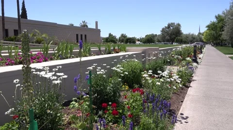 Ultra HD 4K Flower Background | Stock Video | Pond5