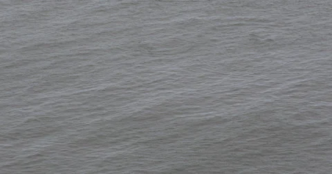 Nose Jumping Stock Videos – Royalty-Free HD & 4K Videos | Pond5