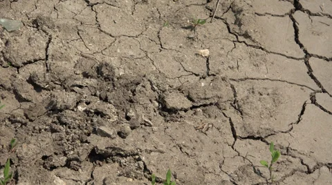 Hd5I Dry Stock Videos – Royalty-Free HD & 4K Videos | Pond5