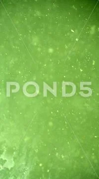 Photograph: Ultra macro bio vegetable water background. #138430027