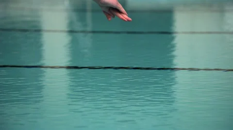 Swimming Stock Video Footage | Royalty Free Swimming Videos | Pond5