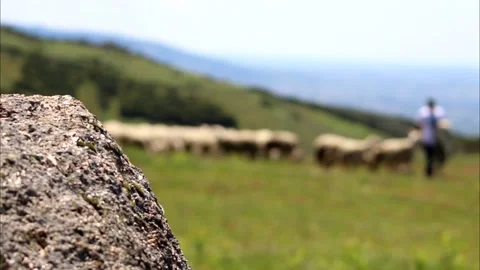 De Uma D Stock Videos – Royalty-Free HD & 4K Videos