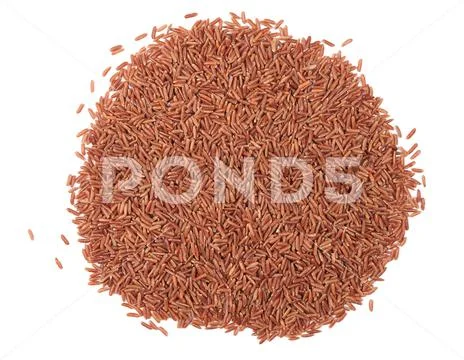 Uncooked red rice isolated on white background Stock Image #168232791