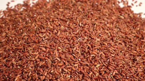 Red Wallpaper Stock Footage ~ Royalty Free Stock Videos | Pond5