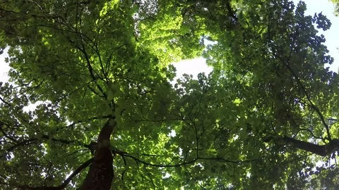 Carrousel Stock Video Footage | Royalty Free Carrousel Videos | Pond5