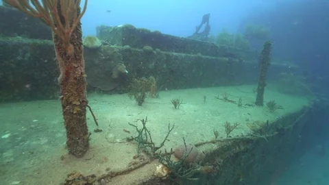 Roatan Stock Videos – Royalty-Free HD & 4K Videos