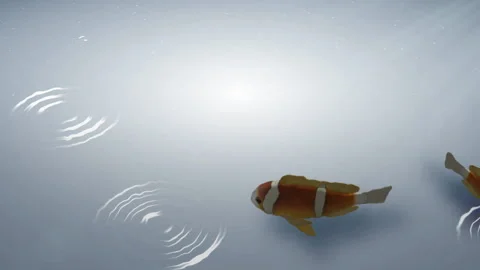 Under water aquarium loop animation | Stock Video | Pond5