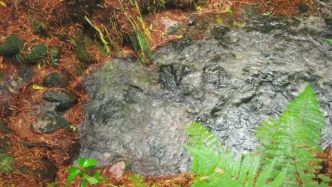 Underground Spring Water Stock Video Footage | Royalty Free Underground ...