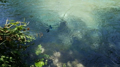 Underground Spring Water Stock Videos – Royalty-Free HD & 4K Videos