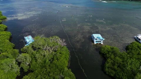 Underwater algae farming in sea near lus... | Stock Video | Pond5