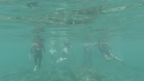 Women Underwater Swimming Stock Video Footage | Royalty Free Women ...