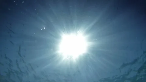 Underwater background. Blue surface, ray... | Stock Video | Pond5