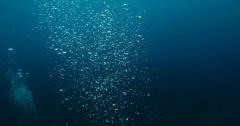 Underwater bubbles in the Ocean. Bubbles... | Stock Video | Pond5