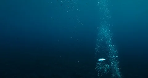 Underwater bubbles in the Ocean. Bubbles... | Stock Video | Pond5