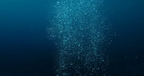 Underwater bubbles in the Ocean. Bubbles... | Stock Video | Pond5