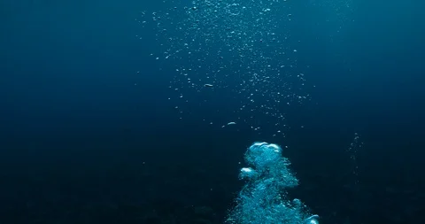 Underwater bubbles in the Ocean. Bubbles... | Stock Video | Pond5
