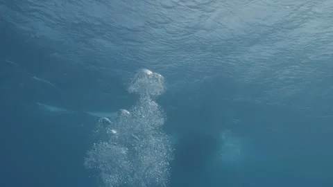 underwater bubbles rise to the surface o... | Stock Video | Pond5