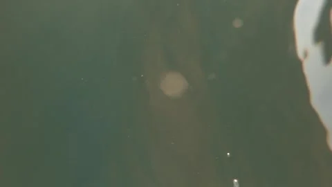 Underwater cinematic beach shot with spl... | Stock Video | Pond5