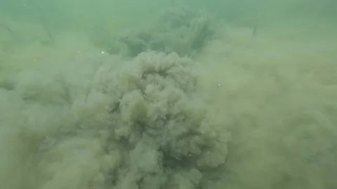 underwater cloud of thick mud moving alo... | Stock Video | Pond5