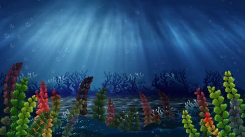 Underwater with Colorful Coral Animation... | Stock Video | Pond5