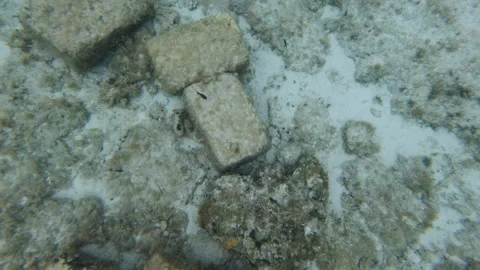 Underwater concrete blocks with dozens o... | Stock Video | Pond5