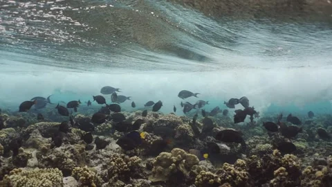 Underwater Storm Stock Video Footage | Royalty Free Underwater Storm ...