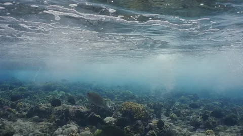 Underwater Storm Stock Video Footage | Royalty Free Underwater Storm ...