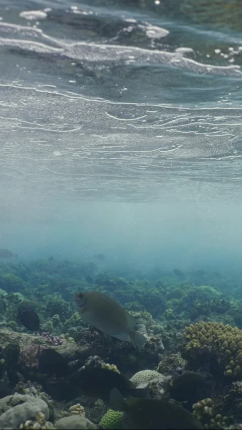 Underwater Storm Stock Video Footage | Royalty Free Underwater Storm ...