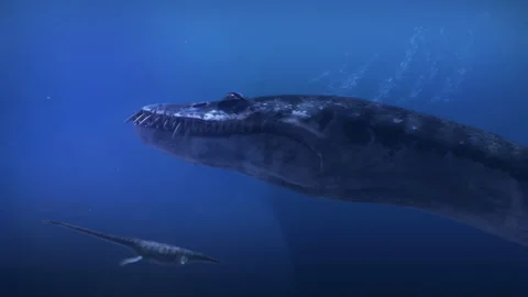 Plesiosaurus Stock Videos – Royalty-Free HD & 4K Videos