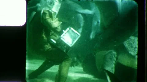 Underwater Movie Moive Stock Videos – Royalty-Free HD & 4K Videos