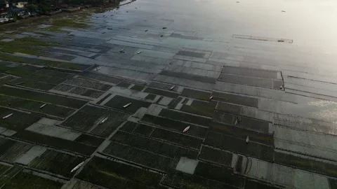 Underwater farmland with sea moss on isl... | Stock Video | Pond5