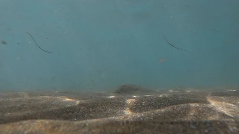 Underwater fine sand particles floating ... | Stock Video | Pond5