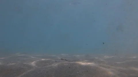 Underwater fine sand particles floating ... | Stock Video | Pond5