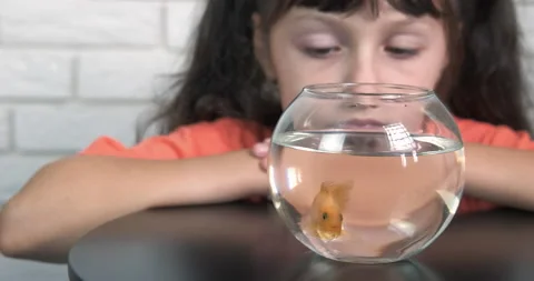 Underwater fish in round aquarium. | Stock Video | Pond5