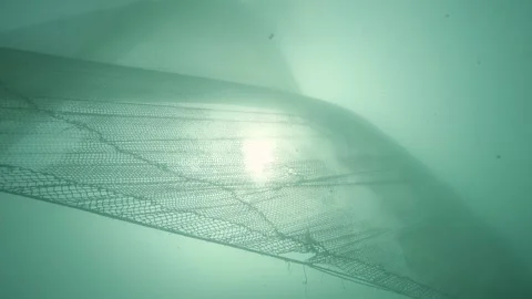 Underwater Fishing Net Stock Video Footage | Royalty Free Underwater ...